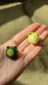 🐸 3D Beaded Frog PDF Pattern – Mindofjulia